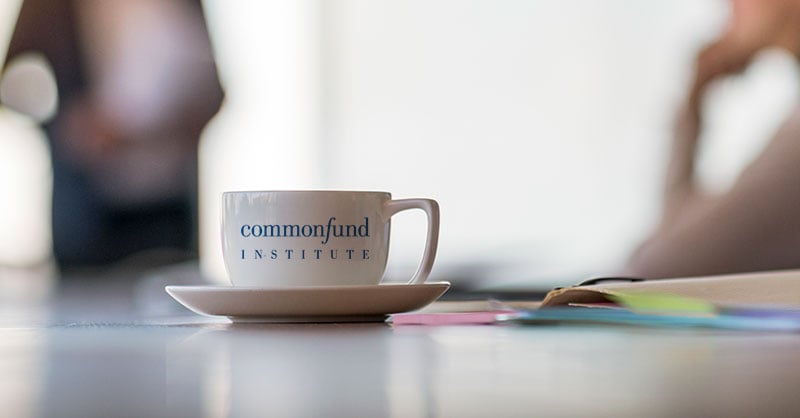 Asset Management for Institutional Investors | Commonfund
